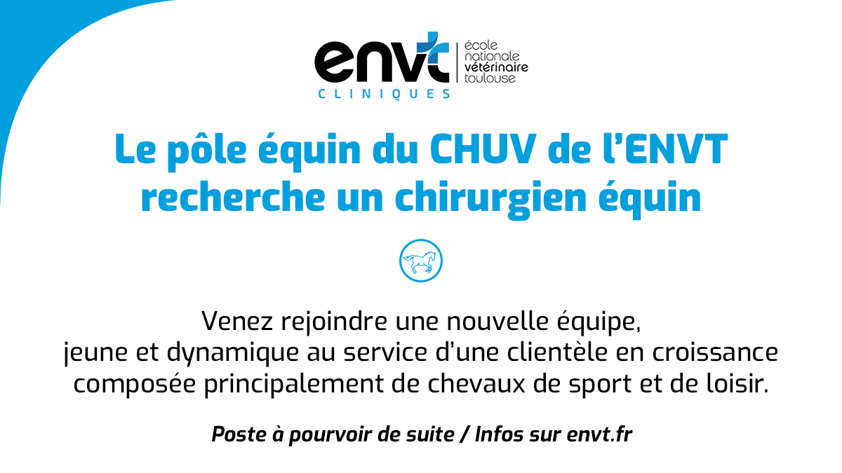 L'ENVT recherche un chirurgien équin - ENVT